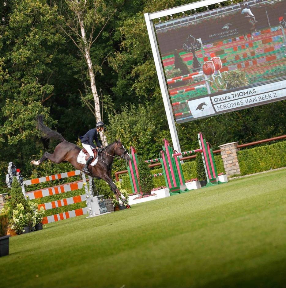 Stal Nieuwenhof - Marc Van Dijck - Feromas van Beek Z