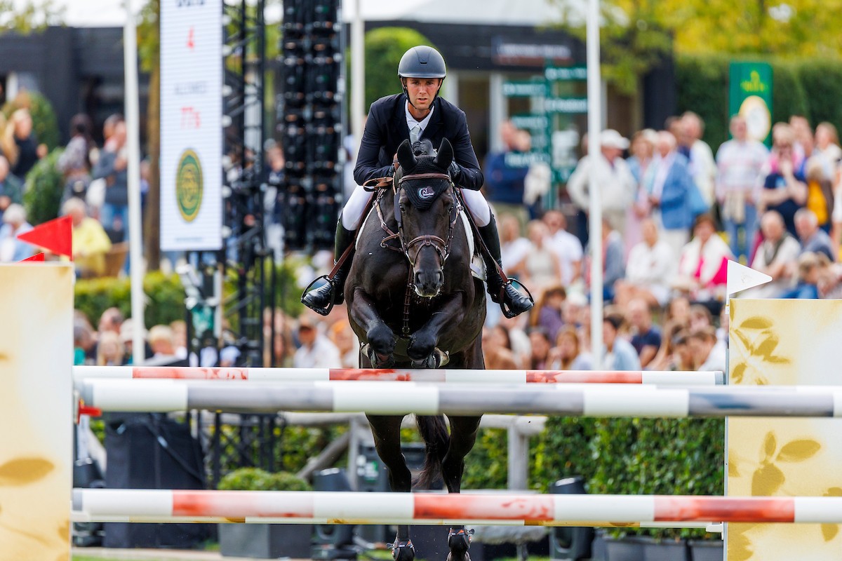 Stal Nieuwenhof - Marc Van Dijck - Looking back at Brussels Stephex Masters