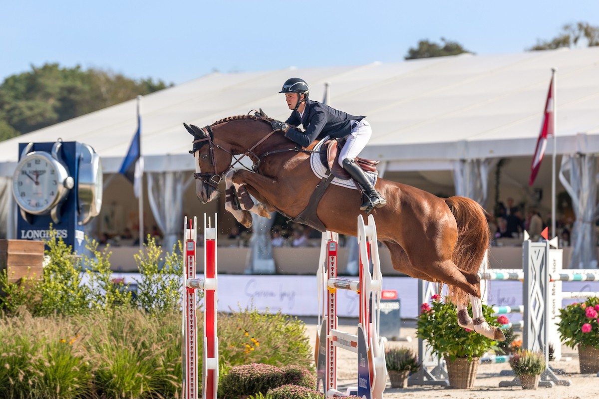Stal Nieuwenhof - Marc Van Dijck - Gilles Thomas en de paarden zijn terug thuis na een geslaagde ...
